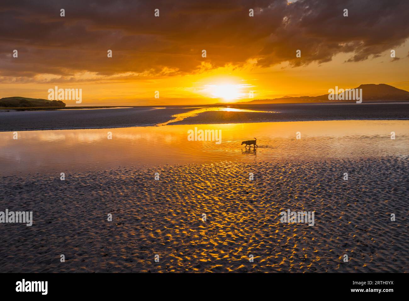 Sunset at Traeth Bach with blue sky and calm sea Stock Photo - Alamy