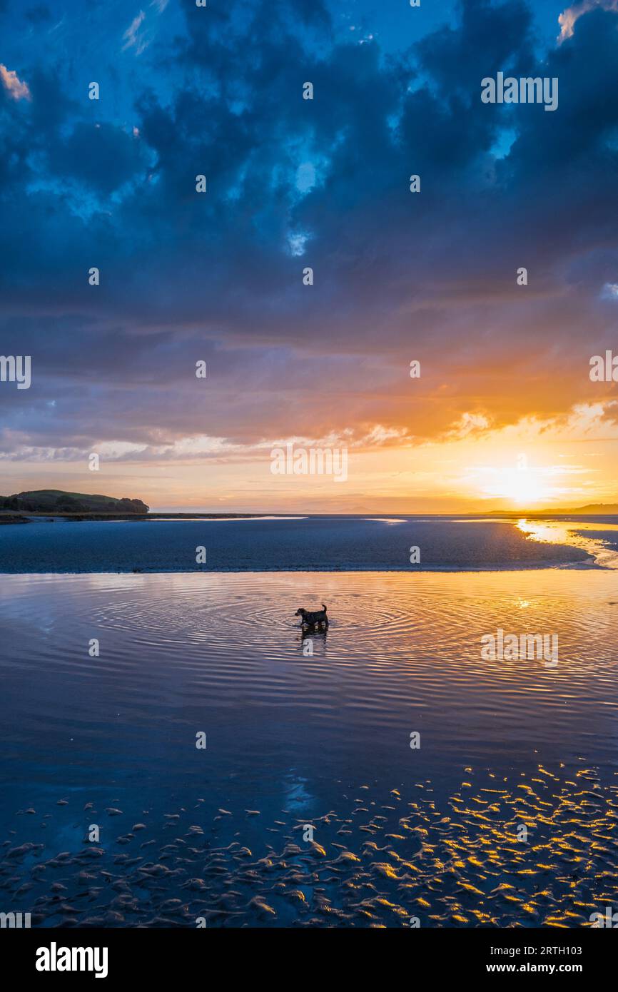 Sunset at Traeth Bach with blue sky and calm sea Stock Photo - Alamy