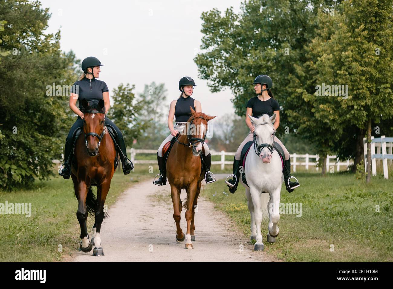 Horsewomen riding beautiful horses along the trail at the equestrian ...