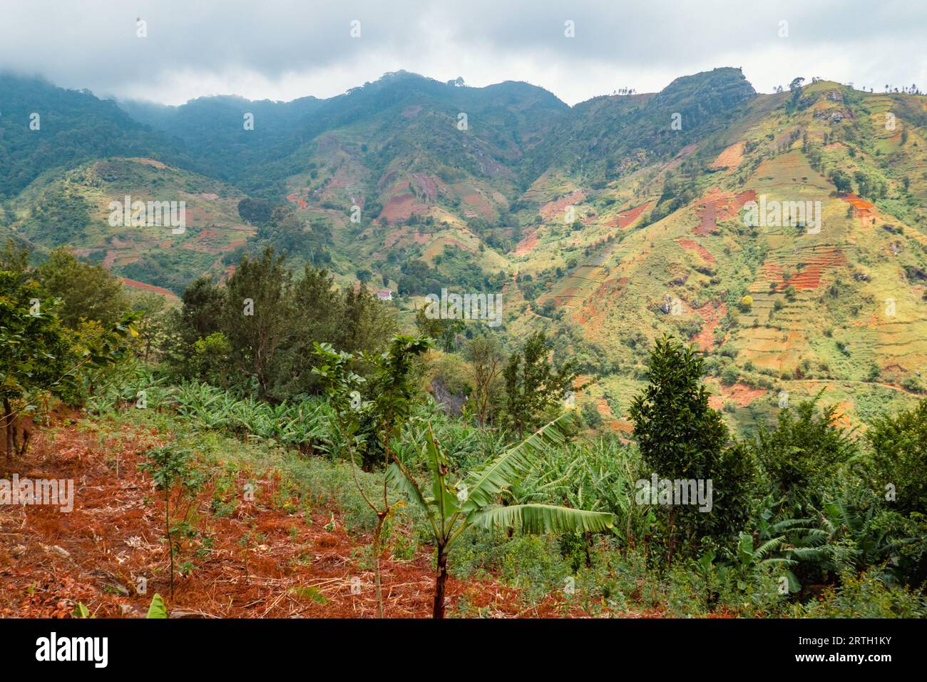Panoramic view of mountain landscapes on Uluguru Mountains in Morogoro ...