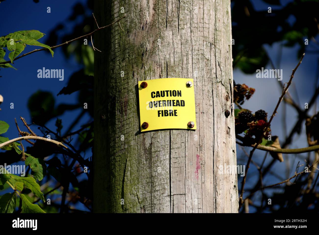 Yellow caution overhead fibre sign on a timber pole Stock Photo - Alamy