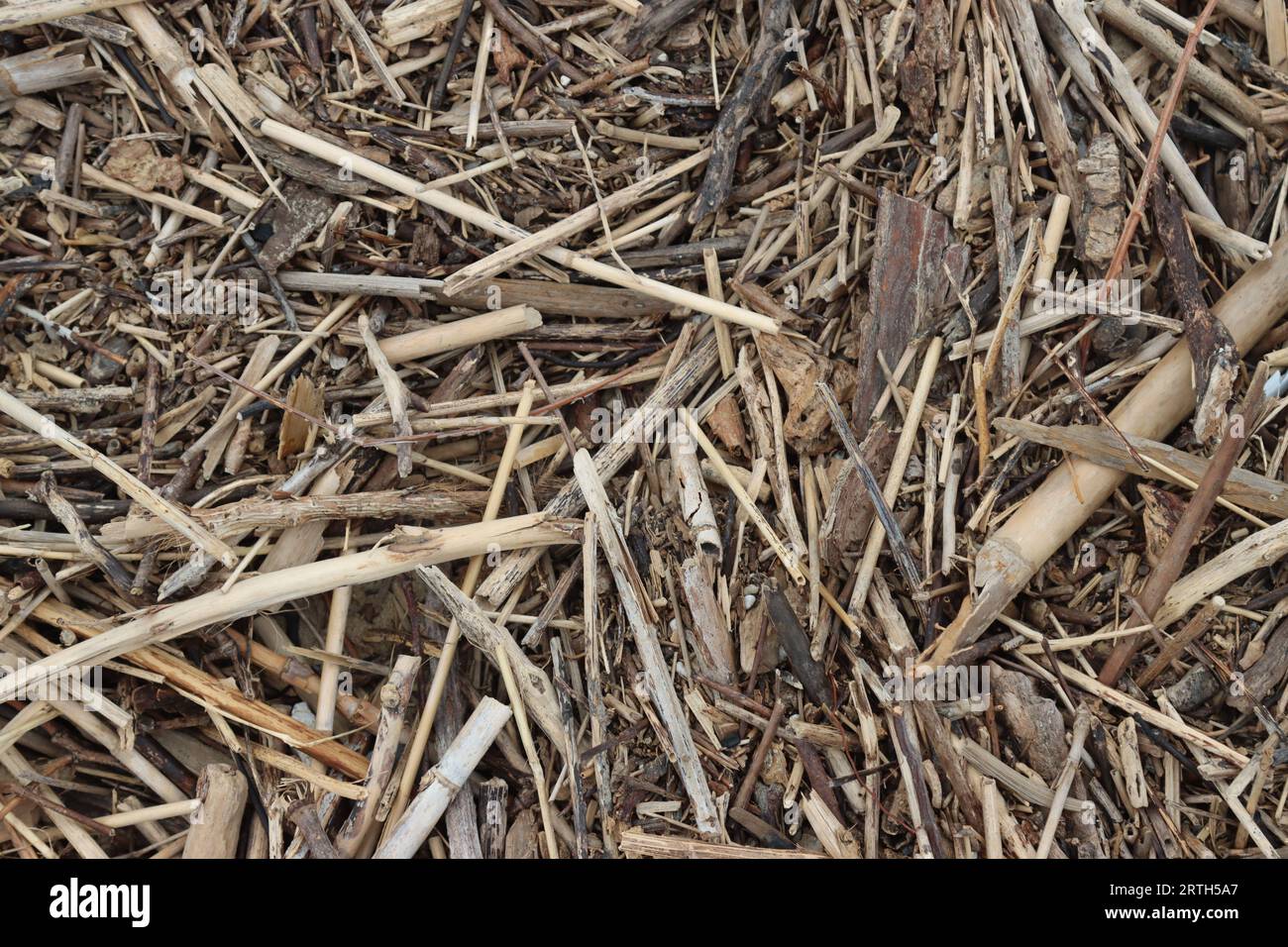 A texture of a pile of sticks and grass Stock Photo - Alamy