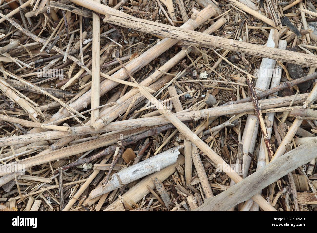 A close-up shot of a pile of sticks and grass, featuring a rough ...