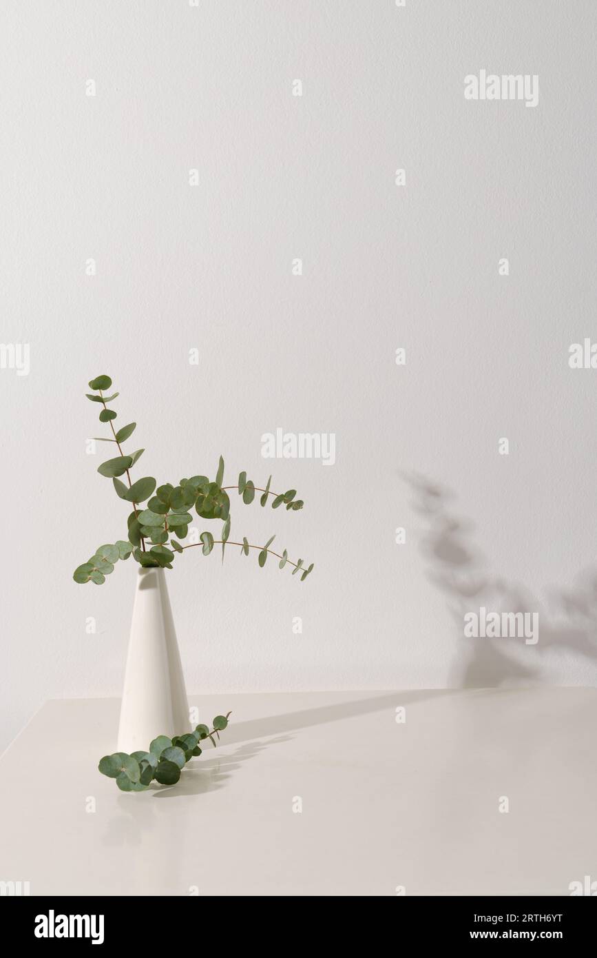 Vertical image of green plant twigs with leaves in white vase and copy ...