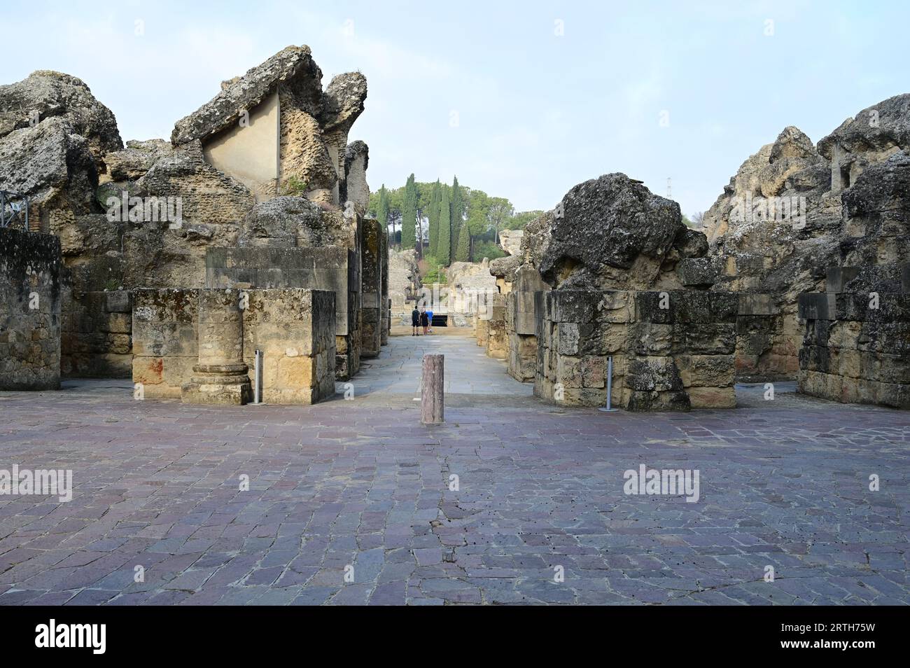 Fossa fight hi-res stock photography and images - Alamy