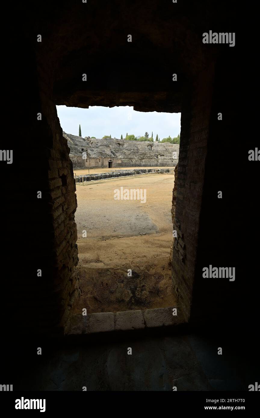 Fossa fight hi-res stock photography and images - Alamy