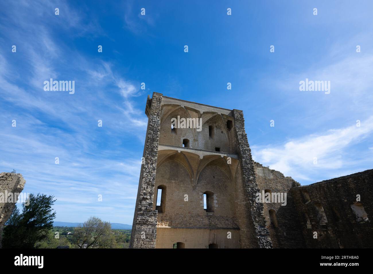 Château de Châteauneuf-du-Pape Destroyed by the Germans in World War II ...