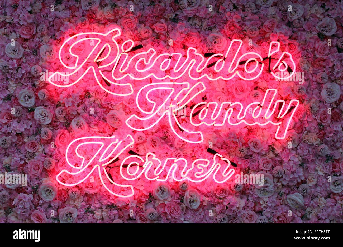 A lit pink neon Ricardo's Kandy Korner sign against a floral backdrop ...