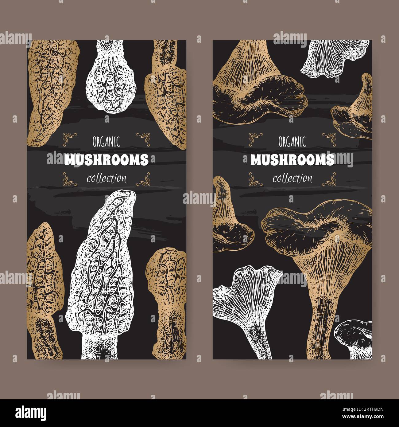 Drawing of two mushrooms Stock Vector Images - Alamy
