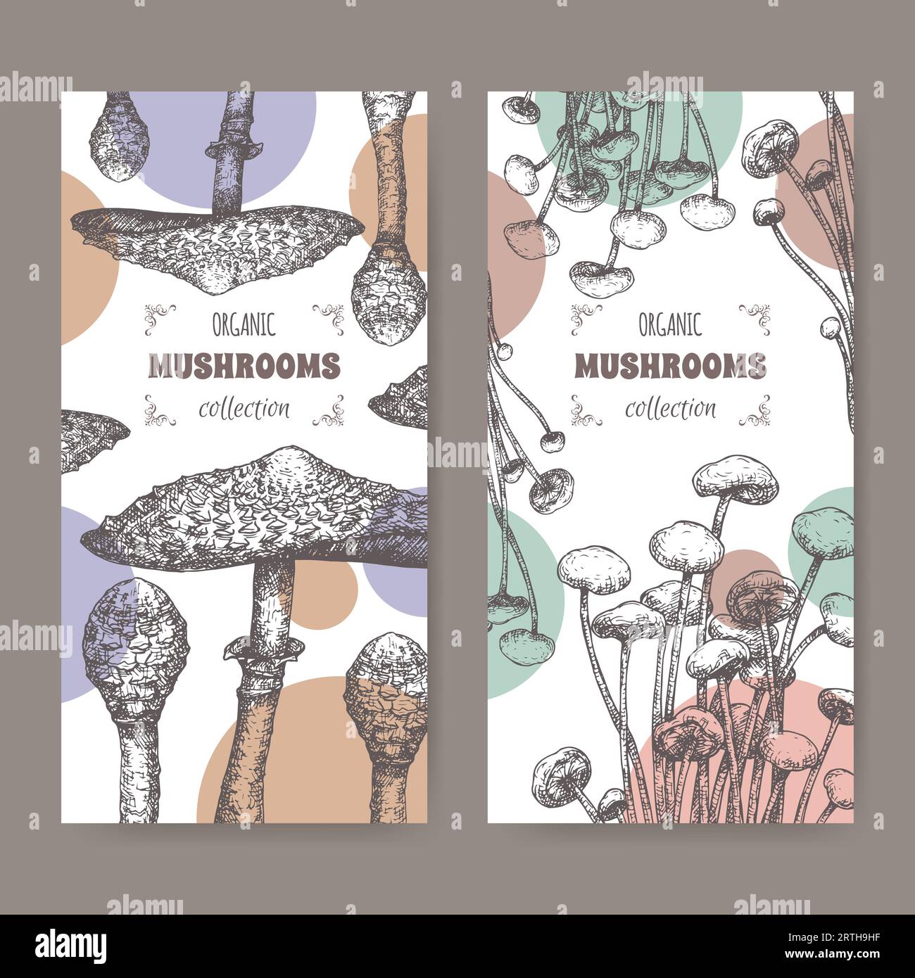 Drawing of two mushrooms Stock Vector Images - Alamy