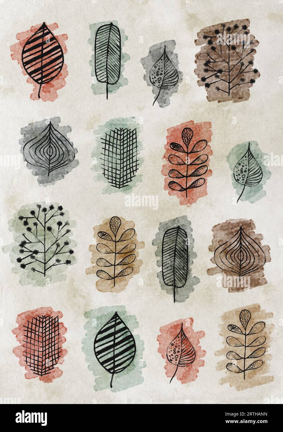 Outline Flower Plant and leaf on water color patches background ...