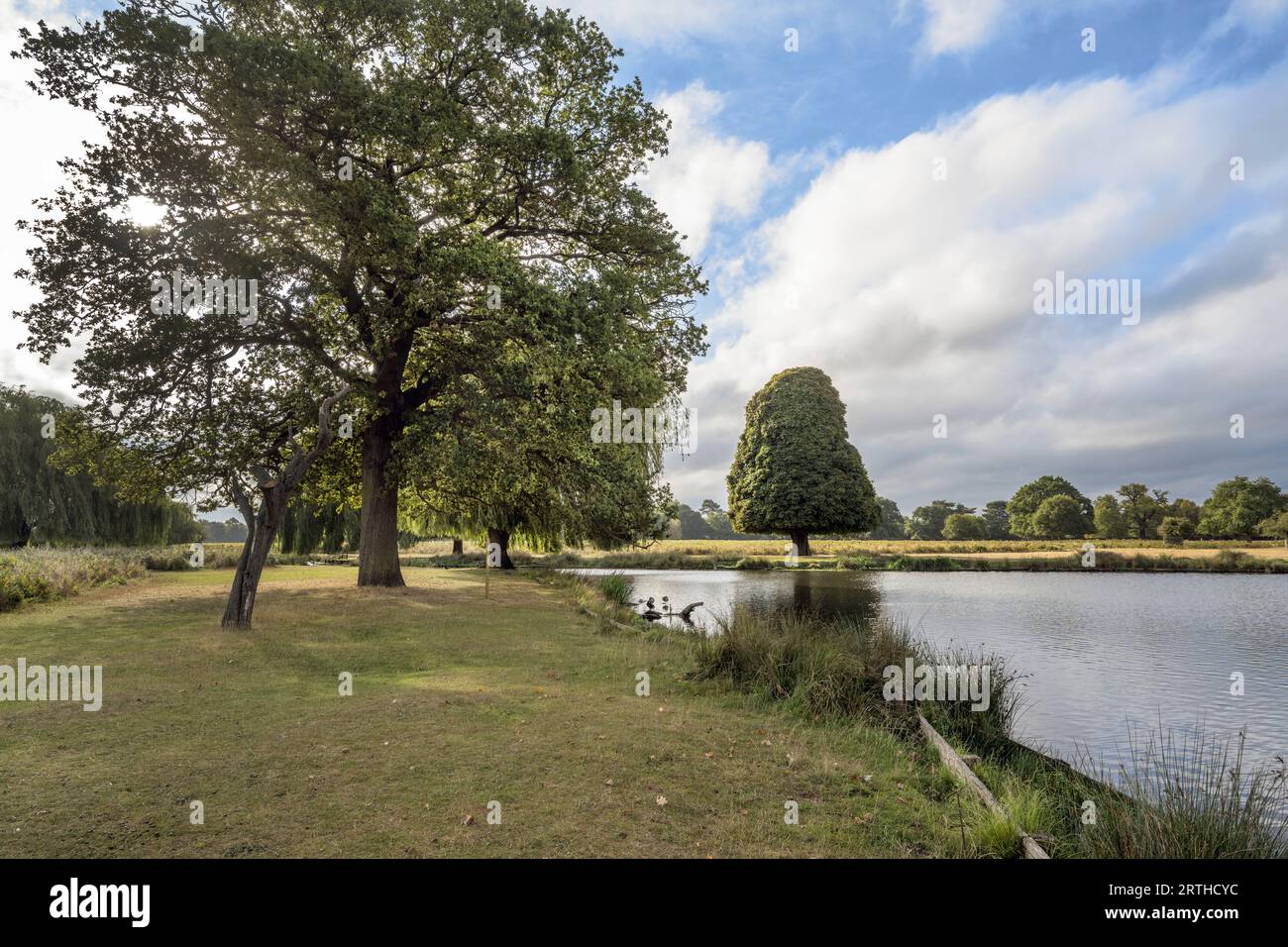 Gardens of Surrey in late September with the early morning sunshine ...
