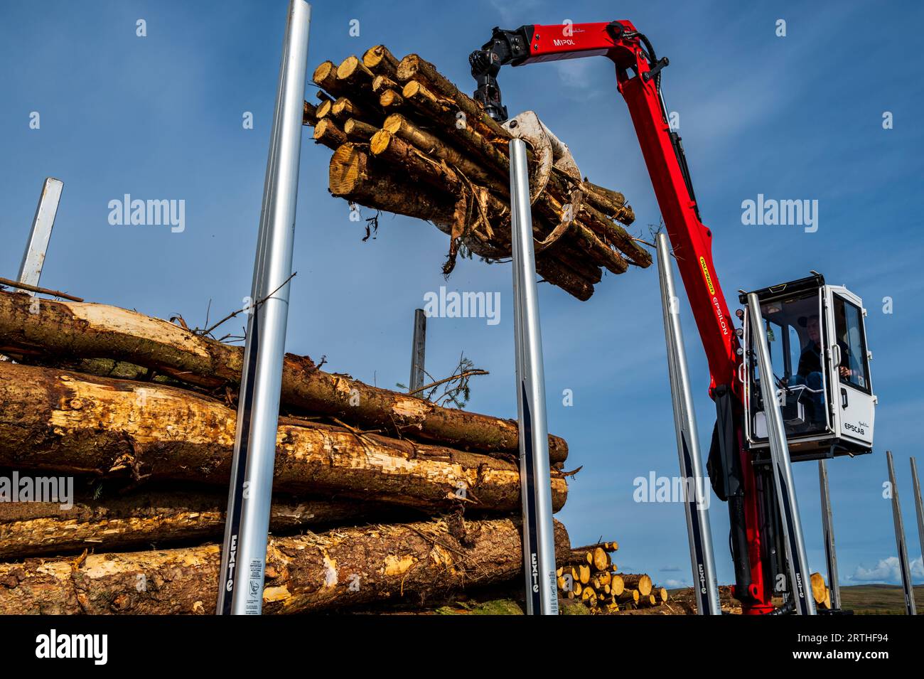 Loading timber logs onto a trailer in South Lanarkshire, Scotland Stock ...