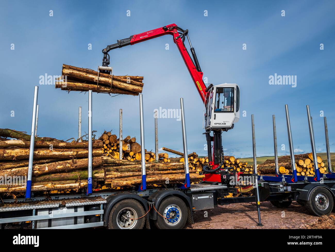 Loading timber logs onto a trailer in South Lanarkshire, Scotland Stock ...