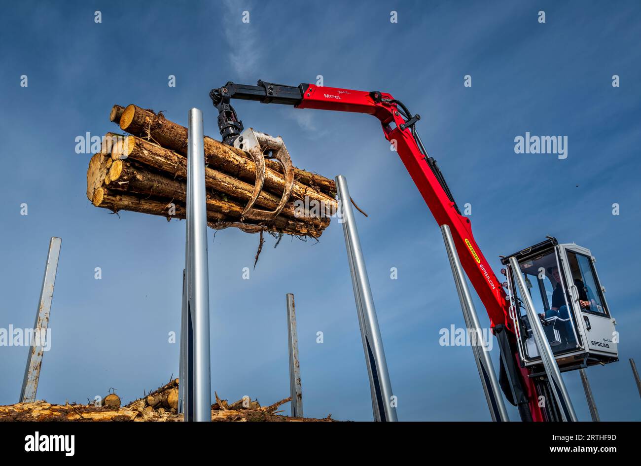Loading timber logs onto a trailer in South Lanarkshire, Scotland Stock ...