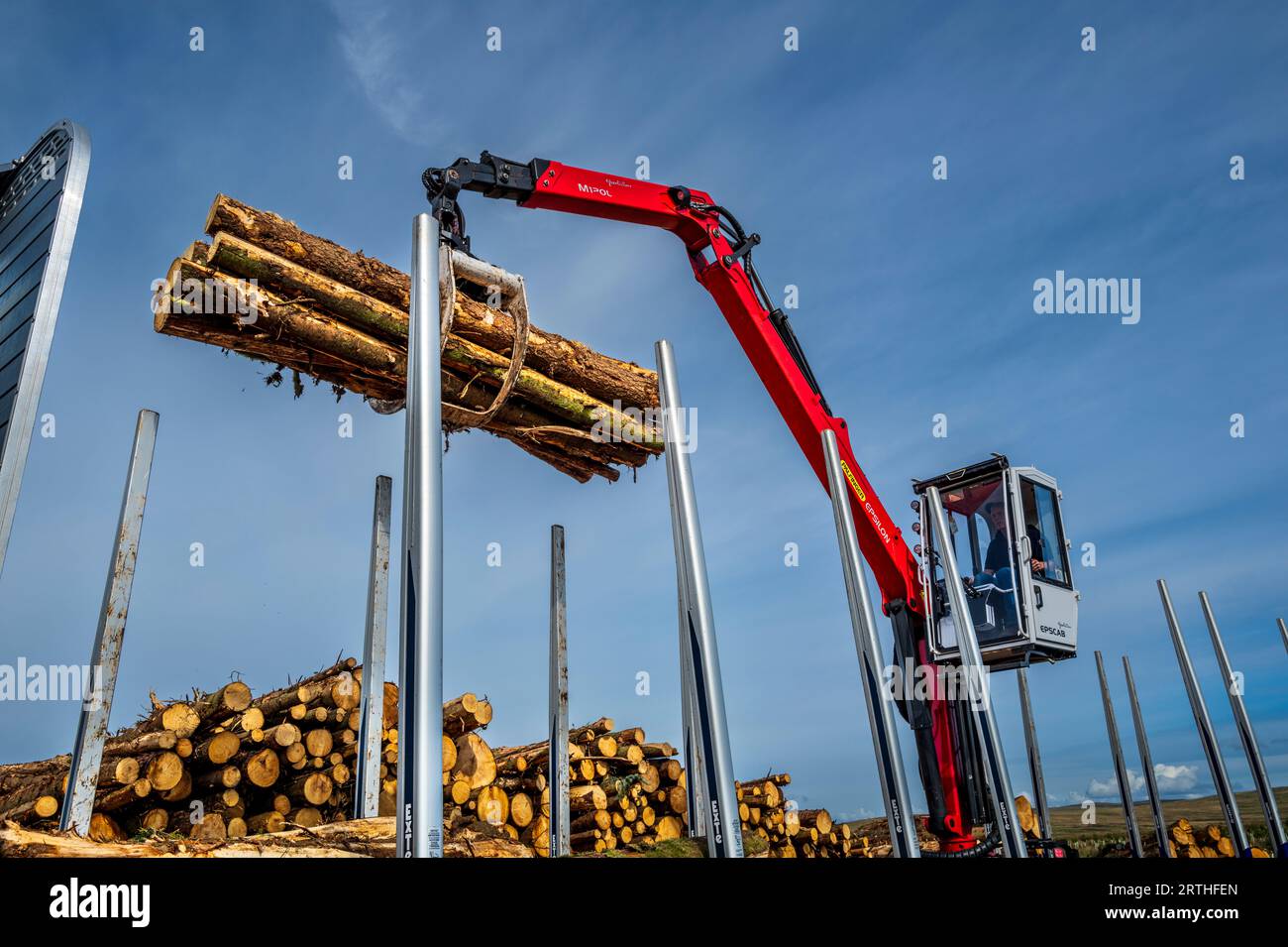 Loading timber logs onto a trailer in South Lanarkshire, Scotland Stock ...