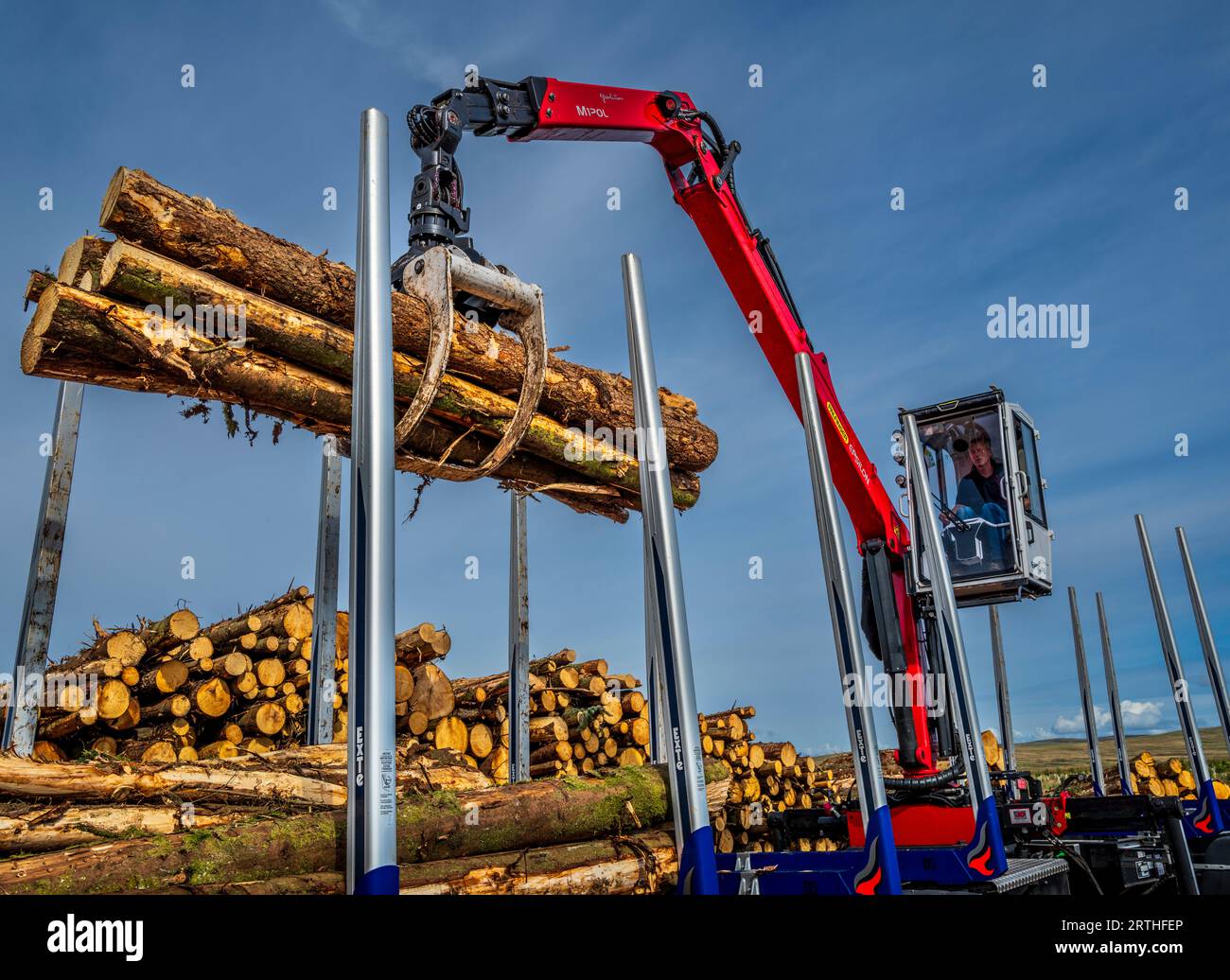 Loading timber logs onto a trailer in South Lanarkshire, Scotland Stock ...
