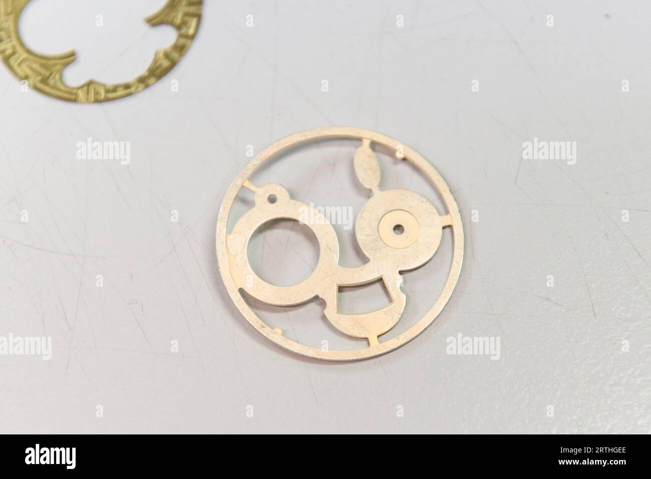 Manufacture visit in Switzerland for a guided tour and explanation of ...