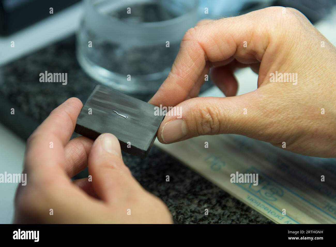 Manufacture visit in Switzerland for a guided tour and explanation of ...