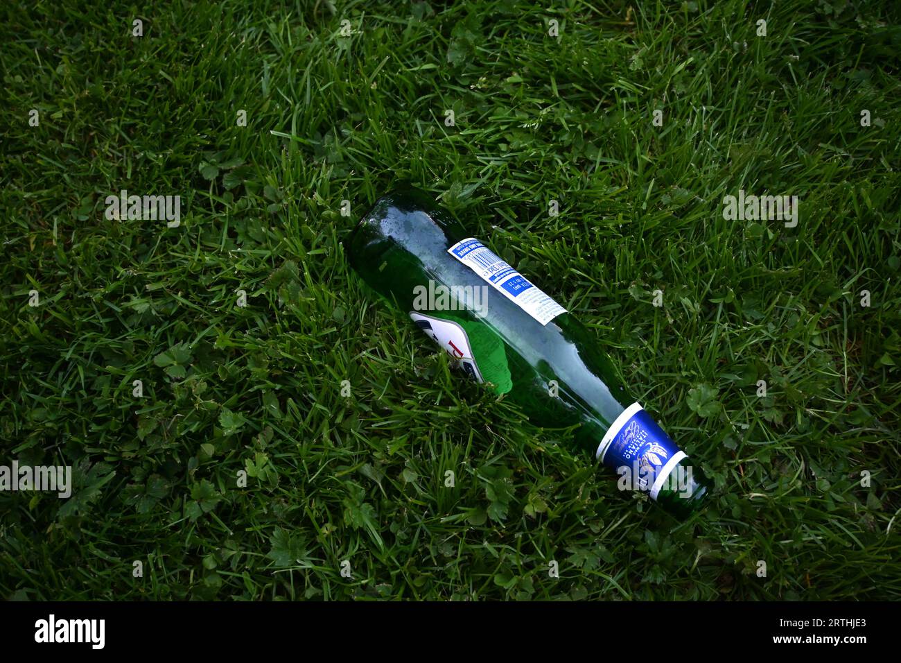 discarded beer bottle Stock Photo - Alamy