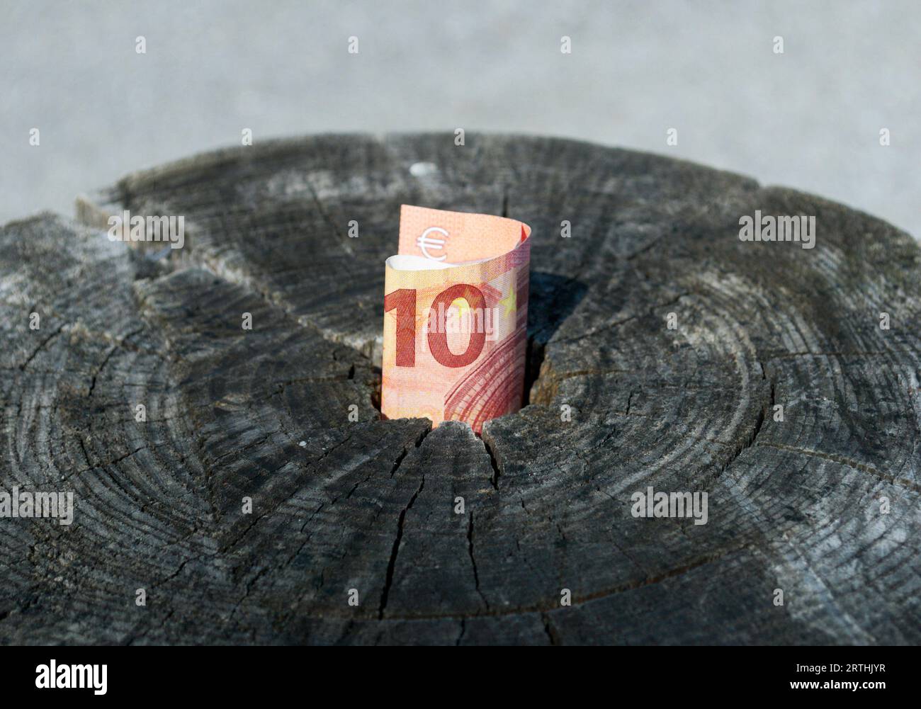 10 euro in tree hi-res stock photography and images - Alamy