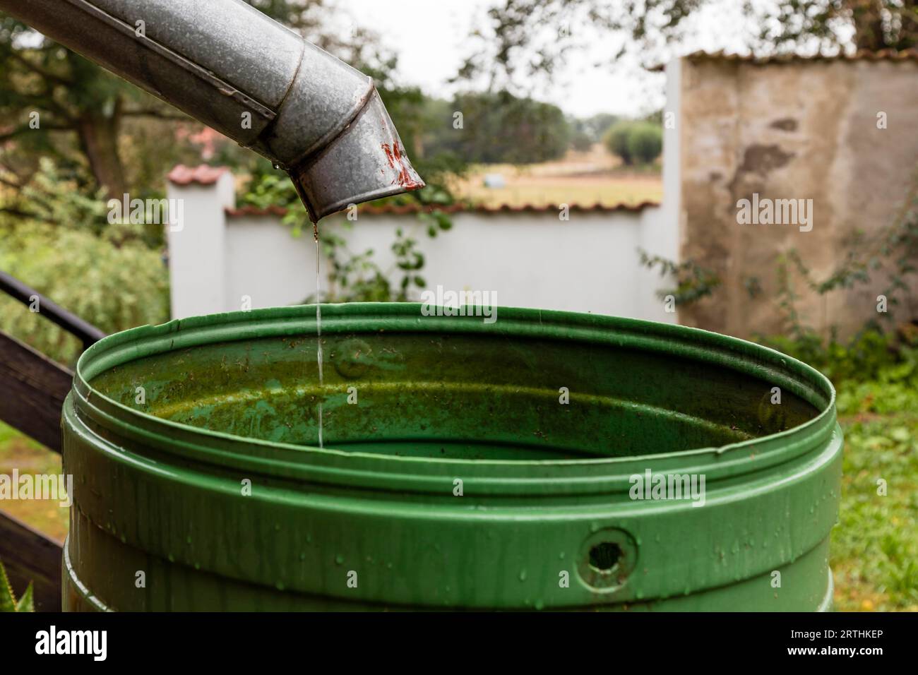 Rain barrel with drip rail, rain barrel with drip rail Stock Photo - Alamy