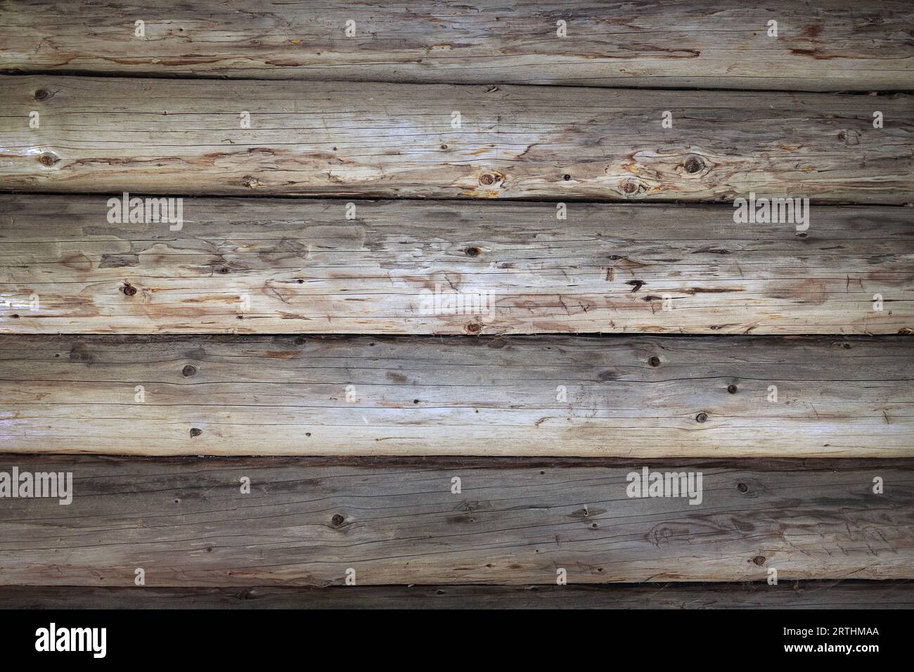 spruce planks wall on traditional lodge, wooden background for your ...