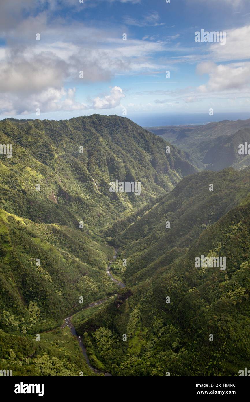 Aerial view of a deep valley in the interior of Kauai, Hawaii, USA ...
