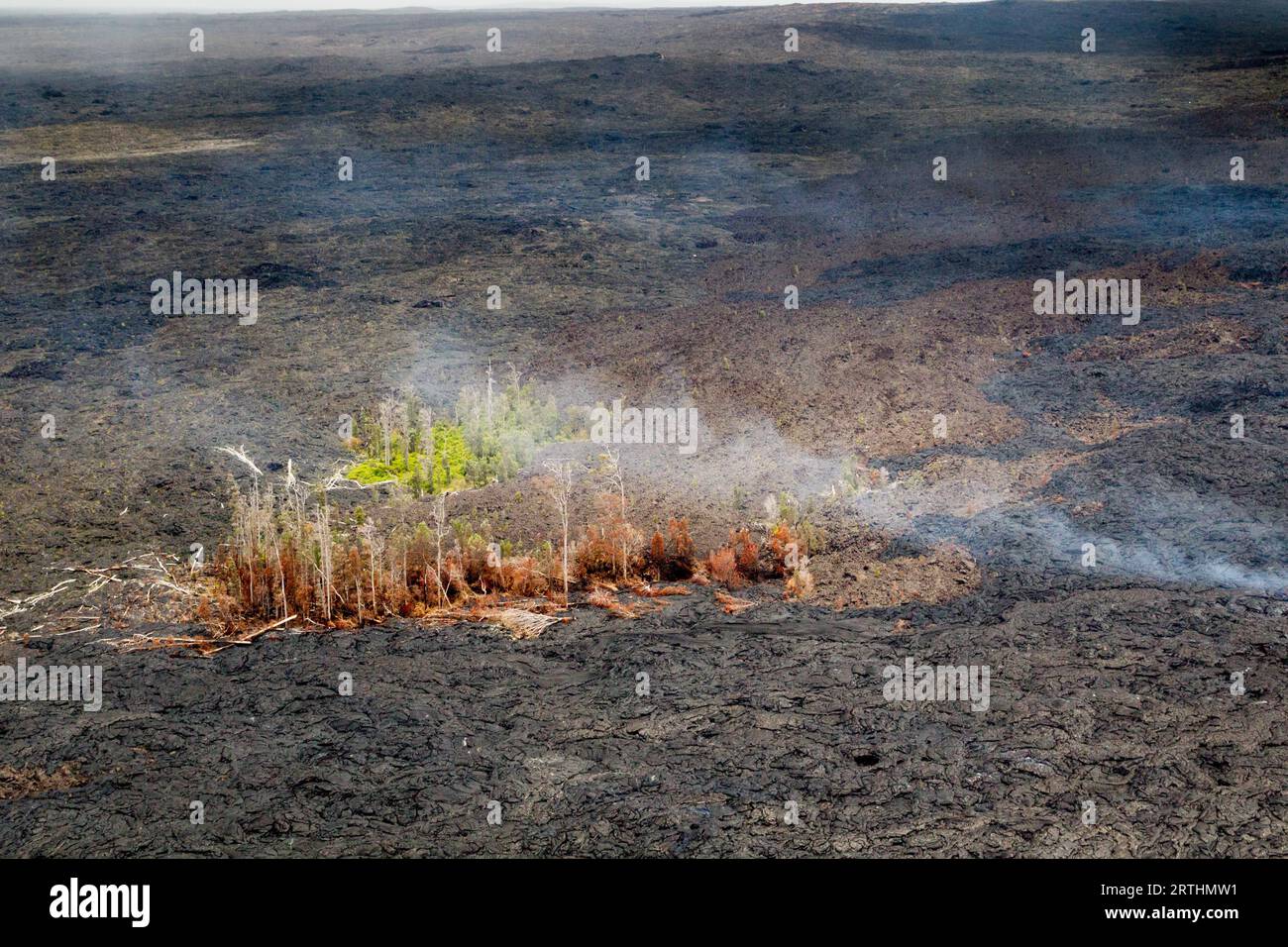Aerial view of forest remnants between volcanic fumes on the ...