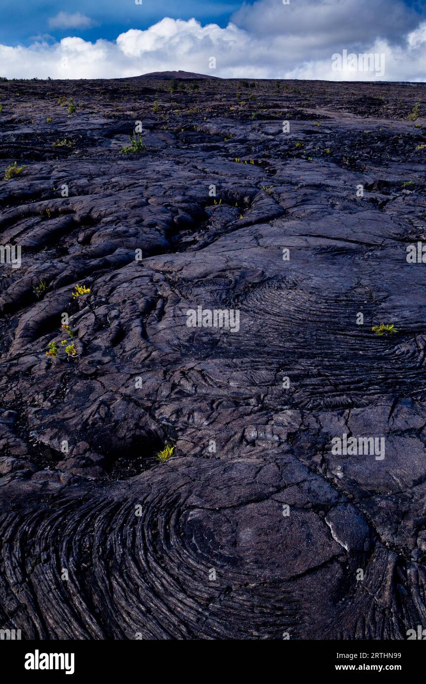 Landscape of cooled lava flows in Hawaii Volcanoes National Park on Big ...