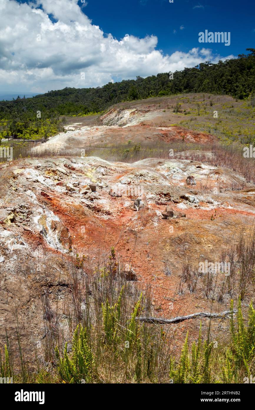 The Sulphur Banks, sulphur deposits in Hawaii Volcanoes National Park ...