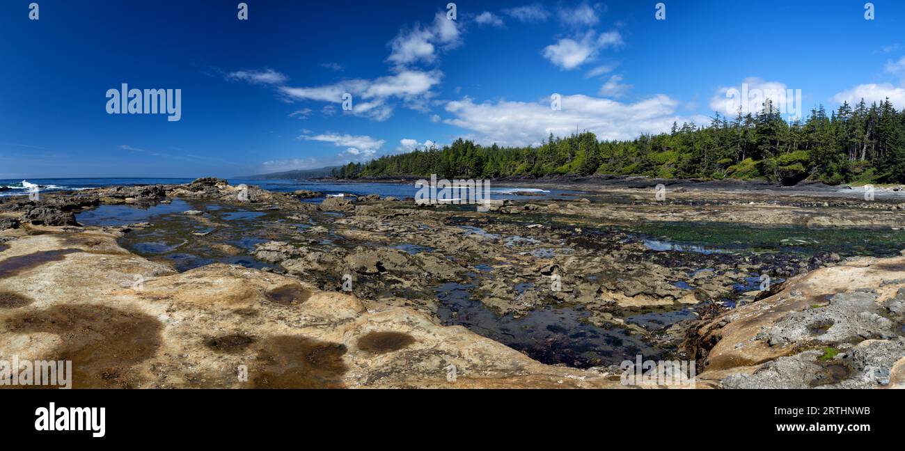 Coastal Landscape at Botanical Beach in Juan de Fuca Provincial Park on ...