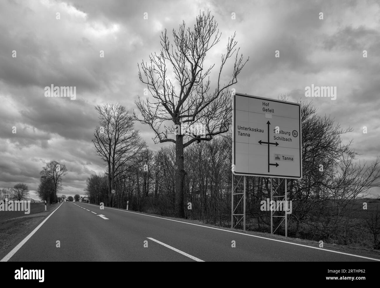 Tree trunk road marking hi-res stock photography and images - Alamy
