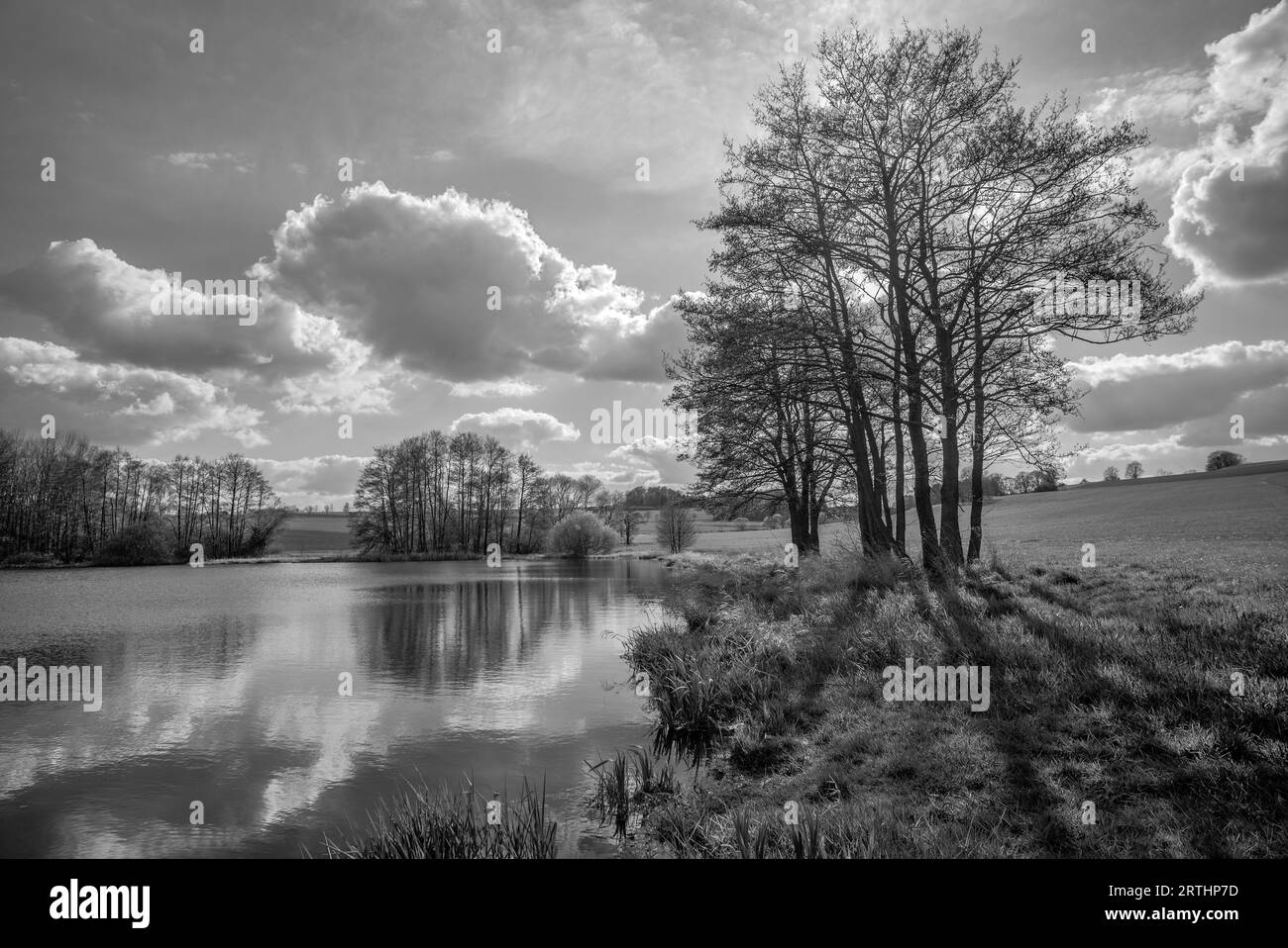 Light fish light Black and White Stock Photos & Images - Alamy