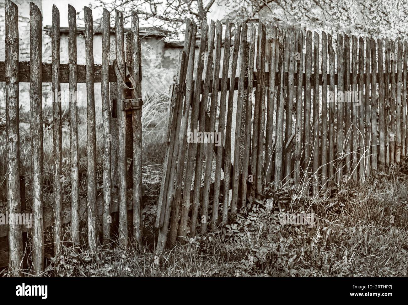 Decay in the garden hi-res stock photography and images - Alamy