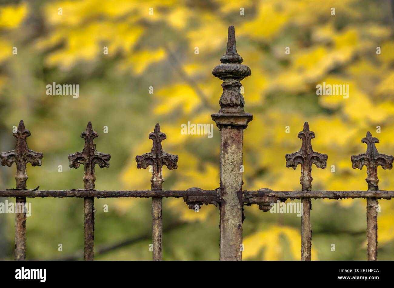 The old fence Stock Photo - Alamy
