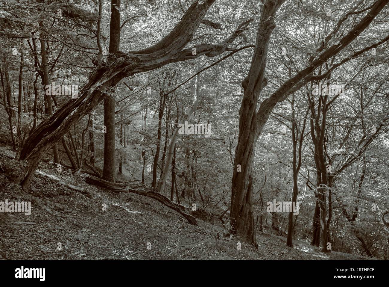 Ground slope hi-res stock photography and images - Alamy