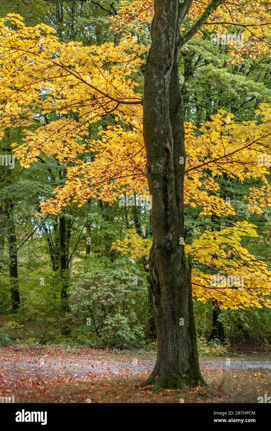 This single picture belongs to my picture series Stock Photo - Alamy