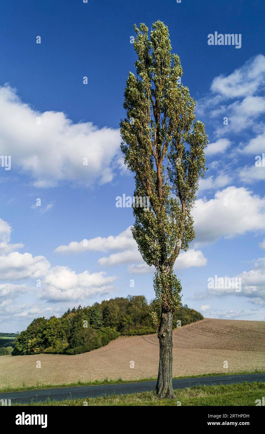 Lonely color hi-res stock photography and images - Alamy