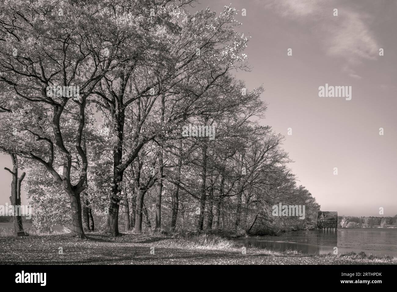 The landscape conservation area Stock Photo - Alamy