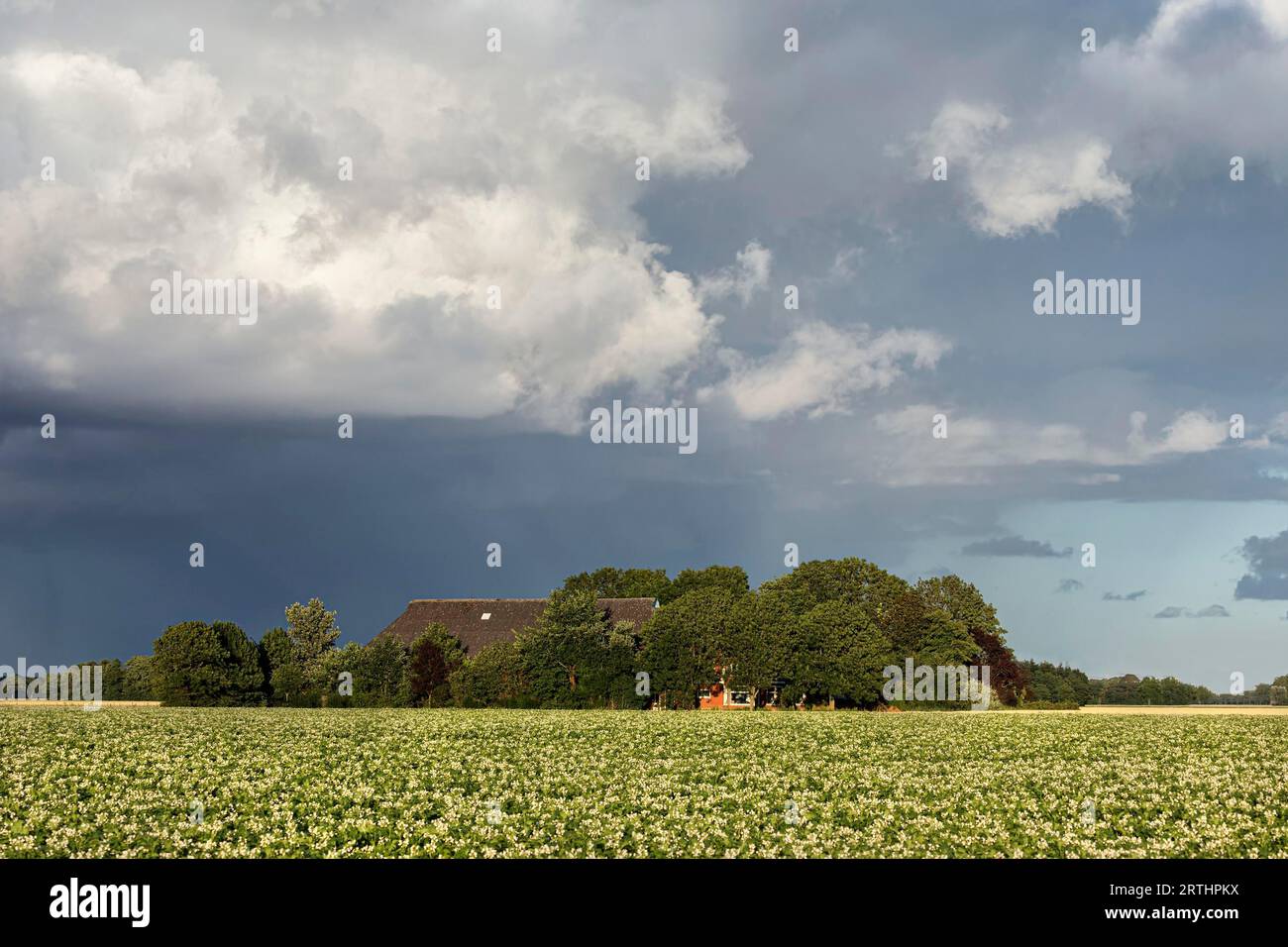 Groningen field hi-res stock photography and images - Alamy