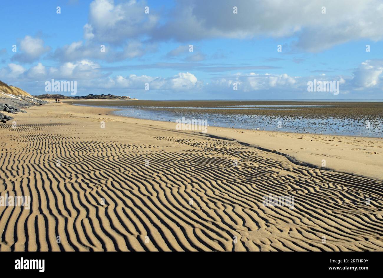 Wadden Sea on the East Coast of Sylt Stock Photo - Alamy
