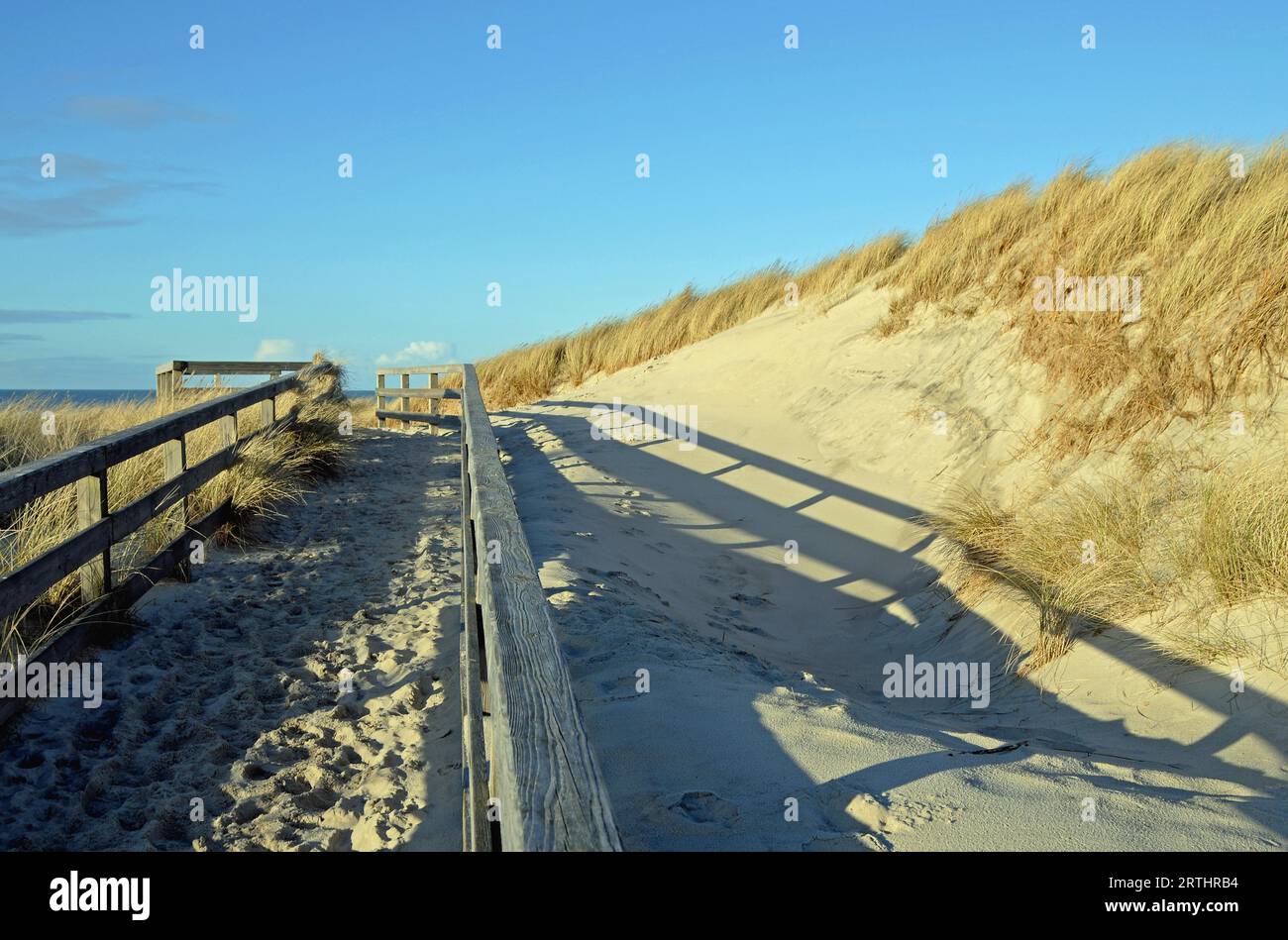 Plank walkway hi-res stock photography and images - Alamy