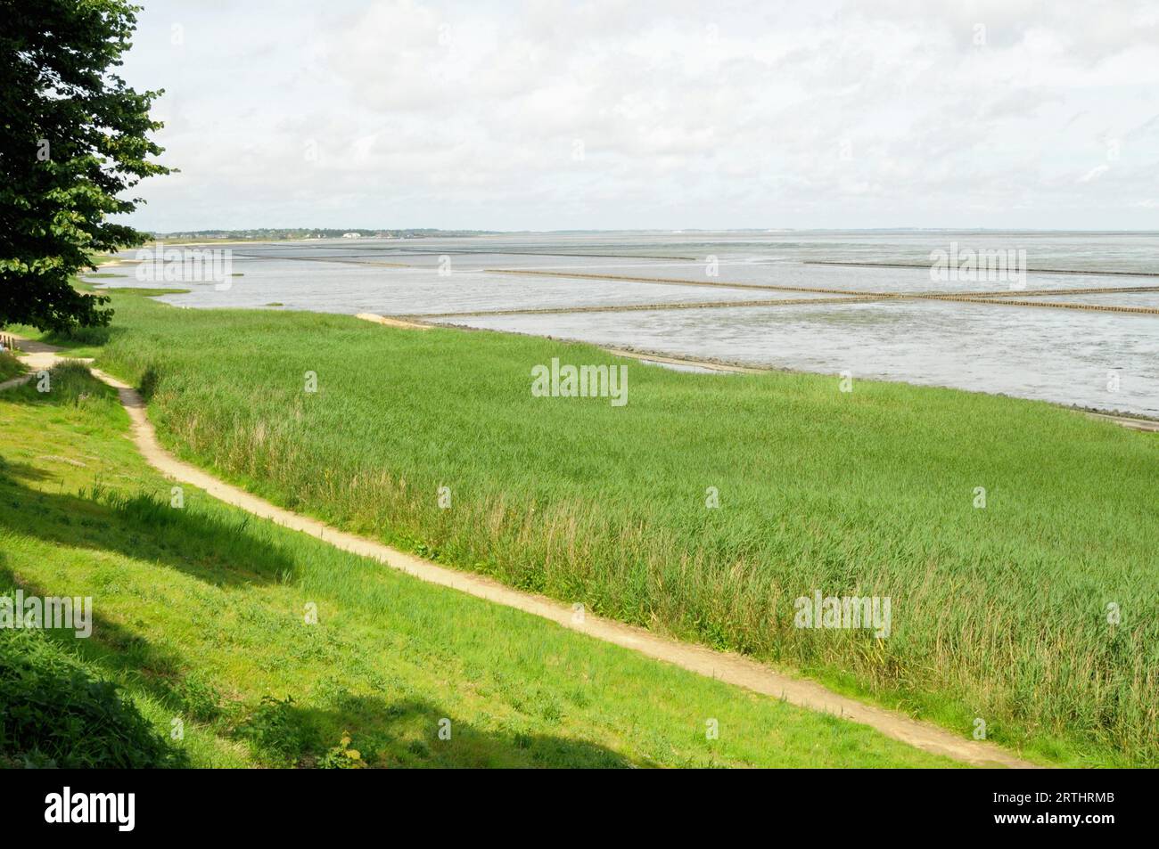 Mudflats landscape hi-res stock photography and images - Alamy