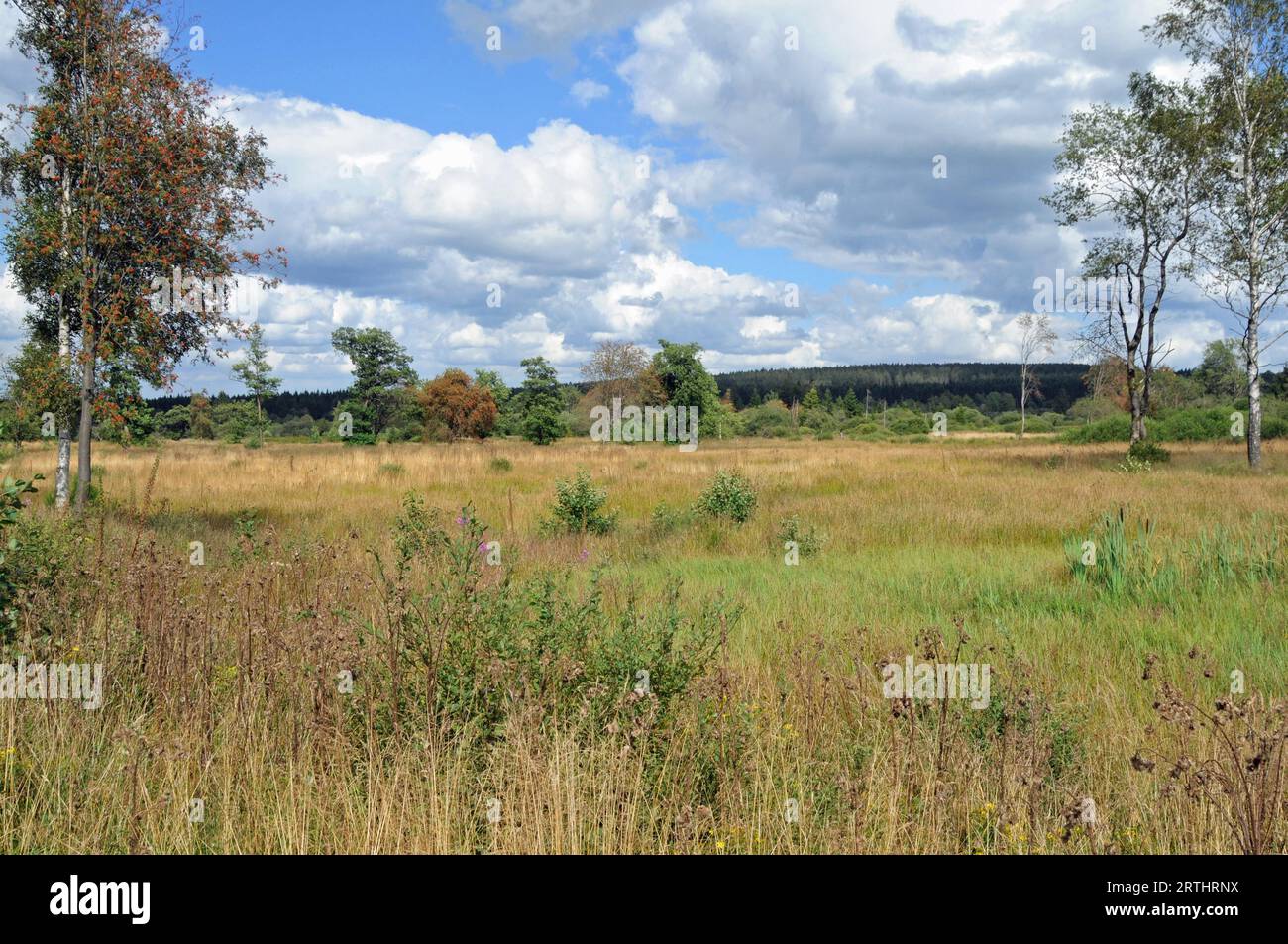 High Fens comprises a moor and heathland landscape Stock Photo - Alamy