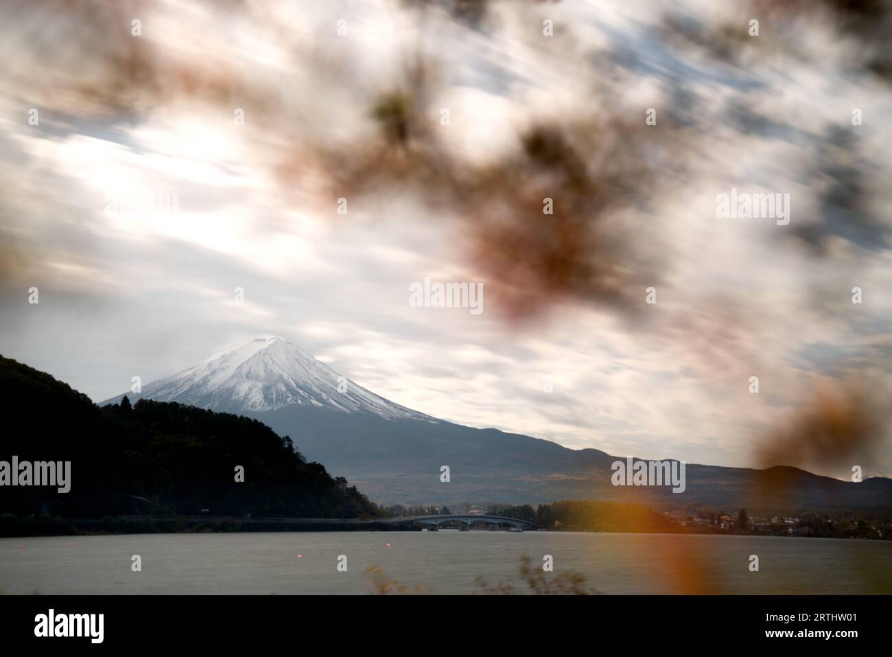 Mount fuji with snow cap with maple leaves on the foreground Stock ...