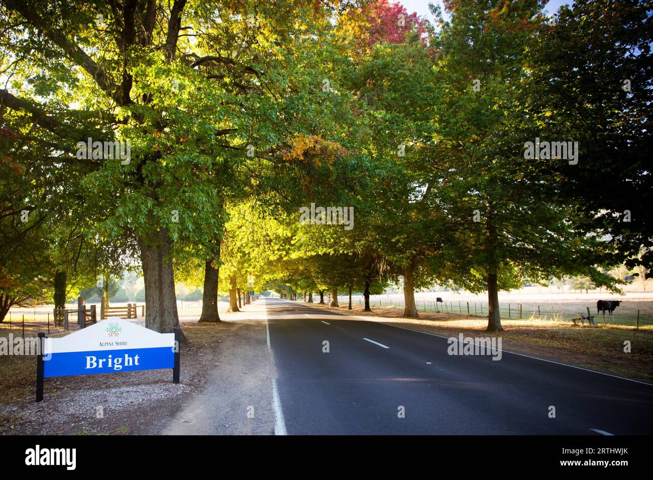 The famous entrance into Bright on a autumn morning, along the Great ...