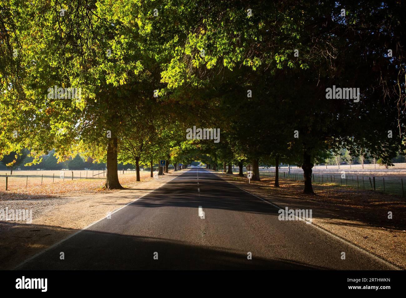 The famous entrance into Bright on a autumn morning, along the Great ...