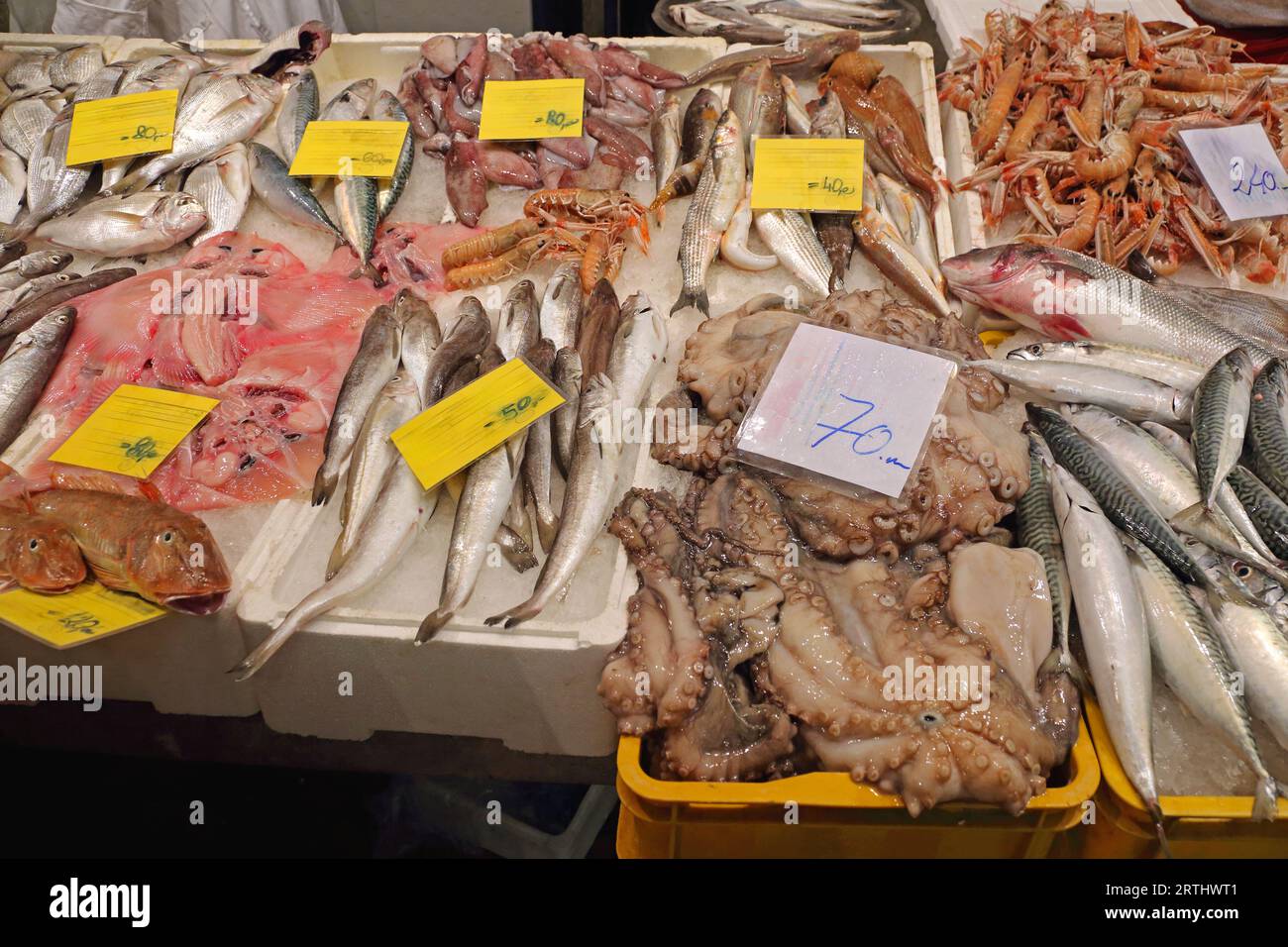 Adriatic octopus hi-res stock photography and images - Alamy