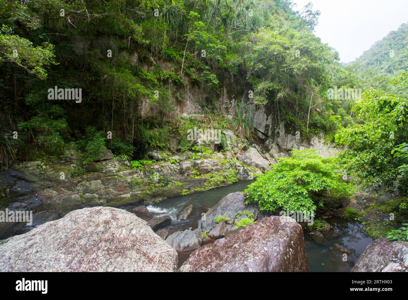 The famous Crystal Cascades near Cairns in Queensland, Australia Stock ...